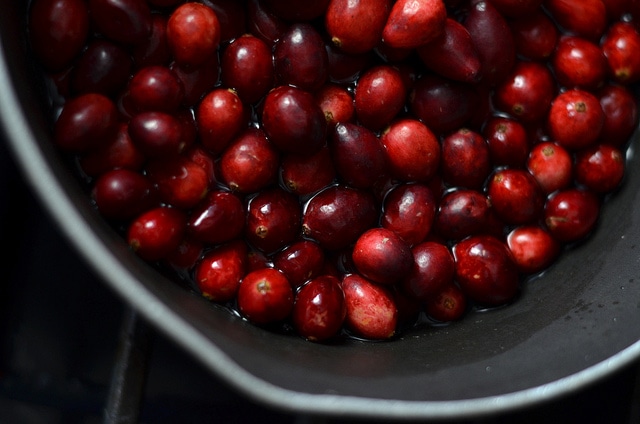 Protein Infused Cranberry Sauce (featuring BiPro USA Protein Water ...